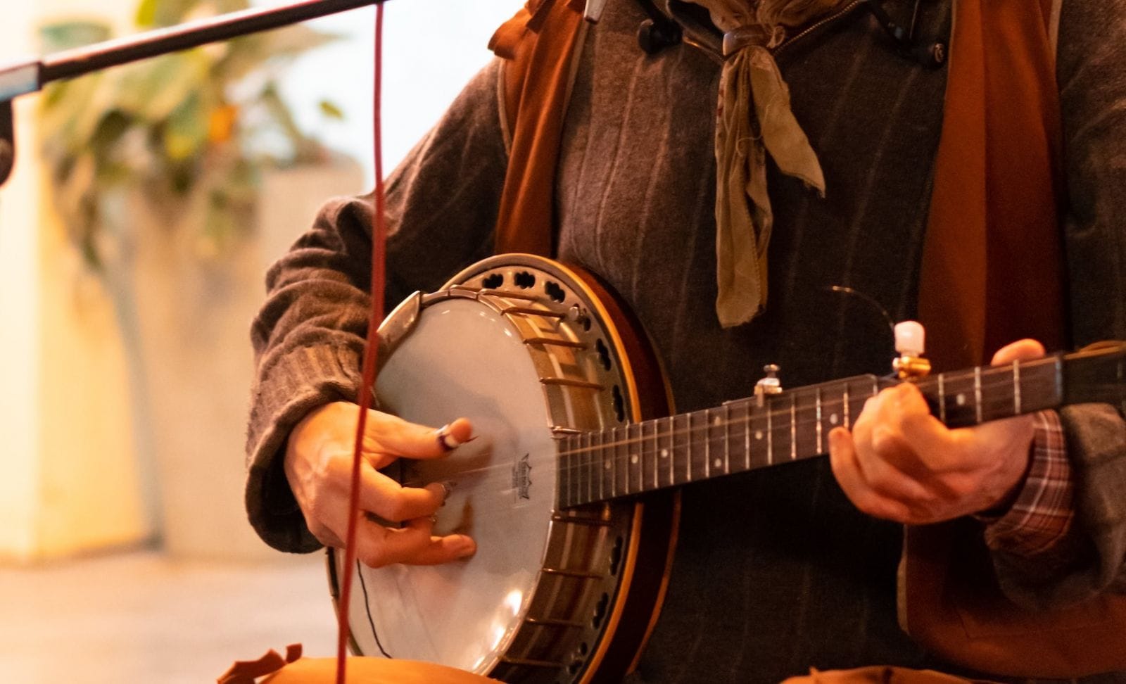 Adult Clawhammer Banjo Group Class - Asheville Music School